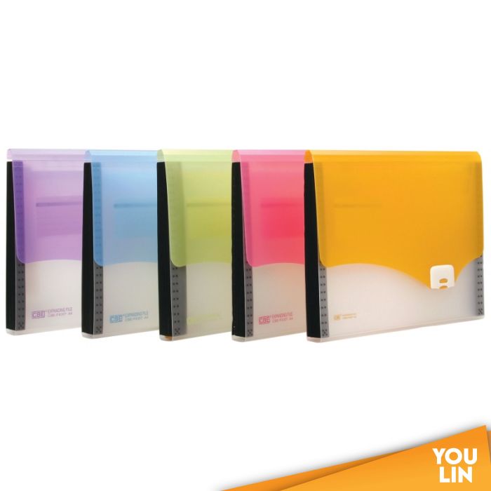 CBE 4307 A4 Expanding File - Filing Product